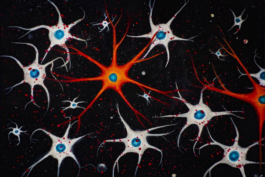 Wie Astrozyten durch Oxytocin positive Emotionen regulieren: ZI Mannheim