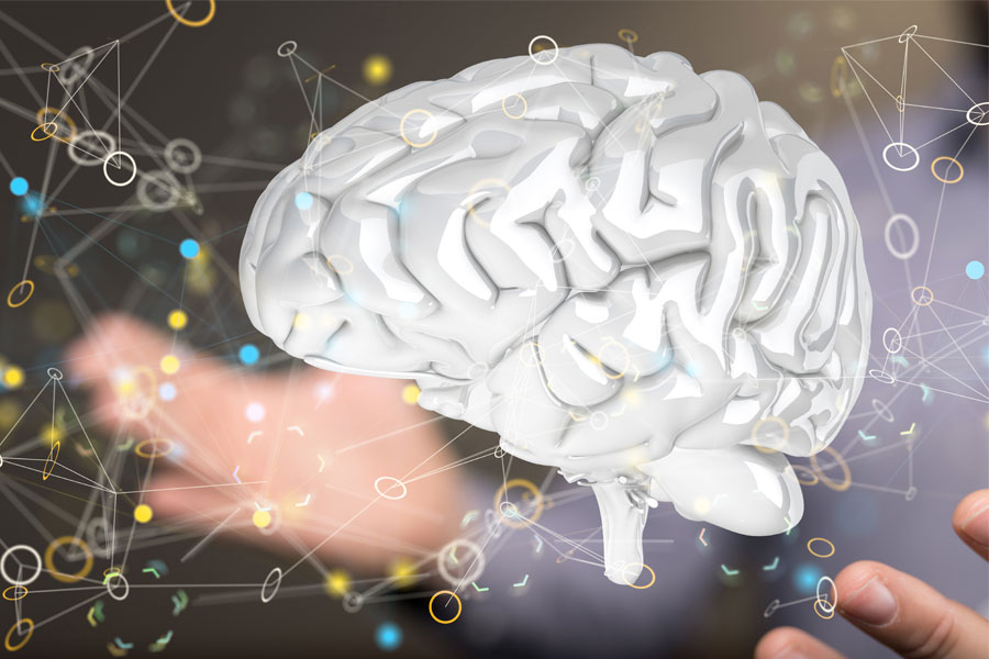 CIMH joins EBRAINS to support brain research: ZI Mannheim